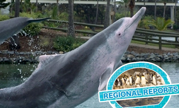 Home - IMATA - International Marine Animal Trainer's Association