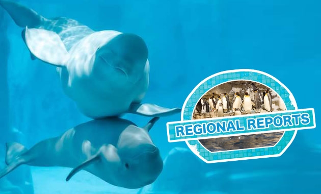 Home - IMATA - International Marine Animal Trainer's Association