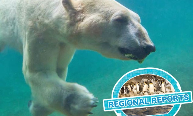 Home - IMATA - International Marine Animal Trainer's Association