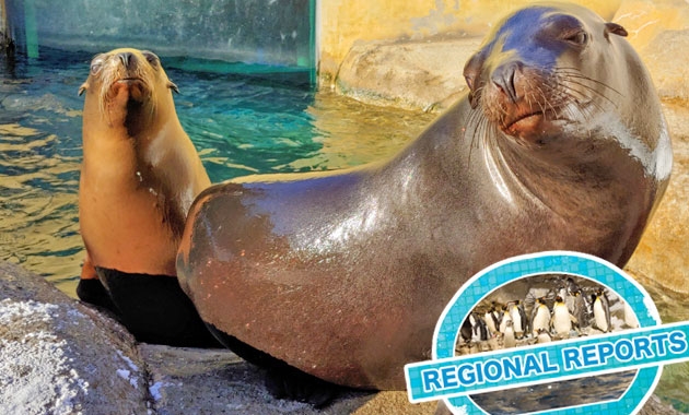 Home - IMATA - International Marine Animal Trainer's Association