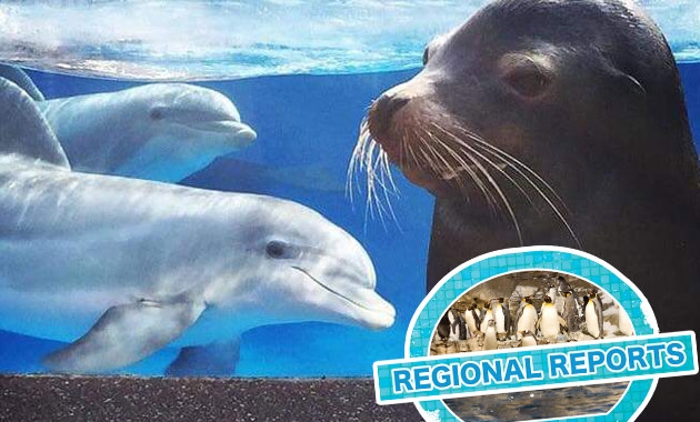 Home - IMATA - International Marine Animal Trainer's Association