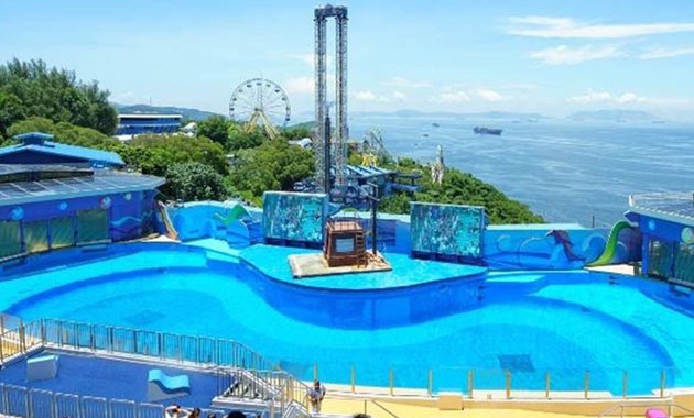 Home - IMATA - International Marine Animal Trainer's Association