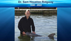 Home - IMATA - International Marine Animal Trainer's Association