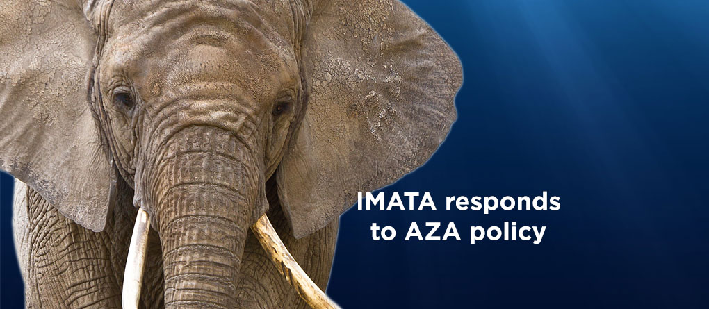 IMATA responds to AZA policy - IMATA - International Marine Animal ...