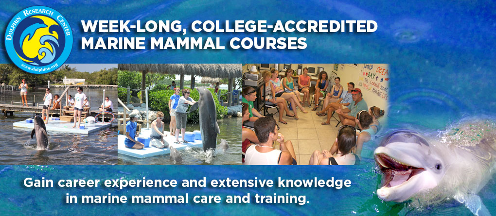 Home - IMATA - International Marine Animal Trainer's Association