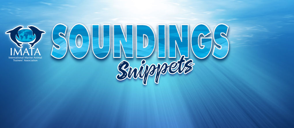 Home - IMATA - International Marine Animal Trainer's Association