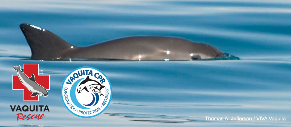 Home - IMATA - International Marine Animal Trainer's Association