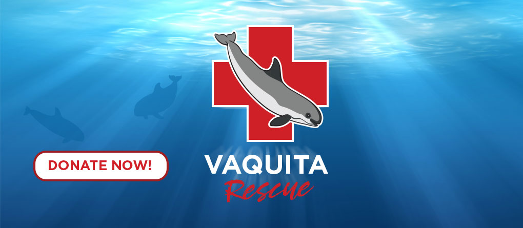 Home - IMATA - International Marine Animal Trainer's Association