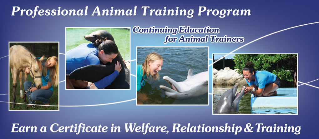 Home - IMATA - International Marine Animal Trainer's Association